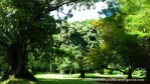 Castleton Botanical Gardens, Saint Mary – Adventures from Elle