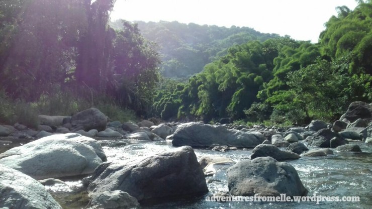 Castleton Botanical Gardens, Saint Mary – Adventures from Elle