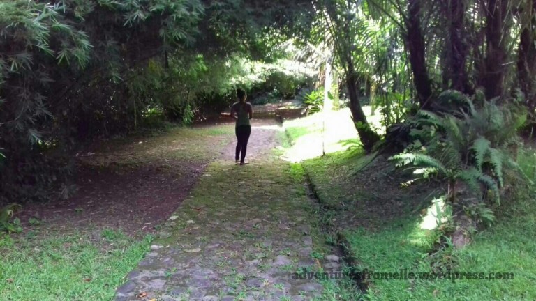 Castleton Botanical Gardens, Saint Mary – Adventures from Elle