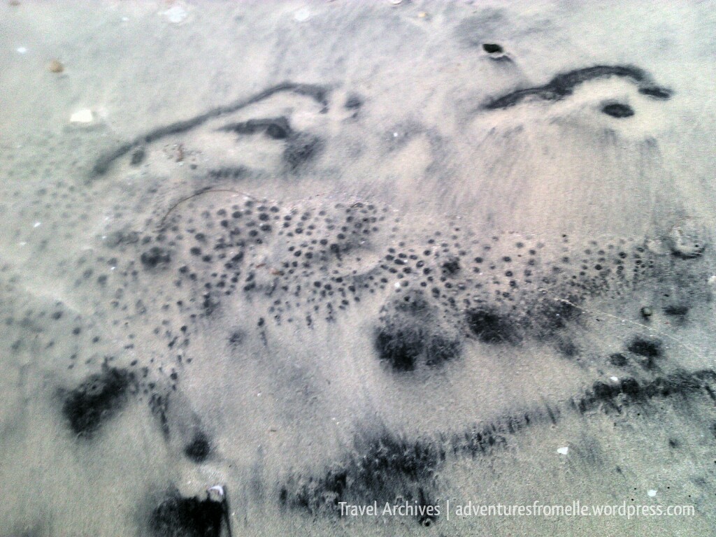 Cardiff Hall Beach, Saint Ann – Adventures from Elle