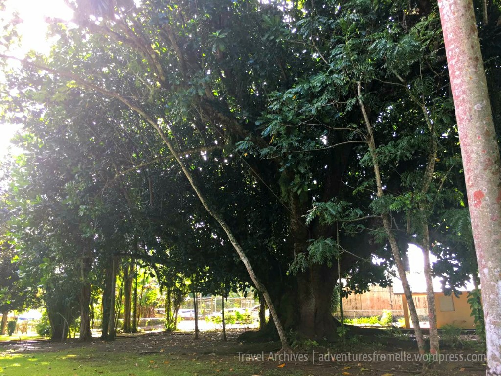 Bath Botanical Gardens, Saint Thomas – Adventures from Elle