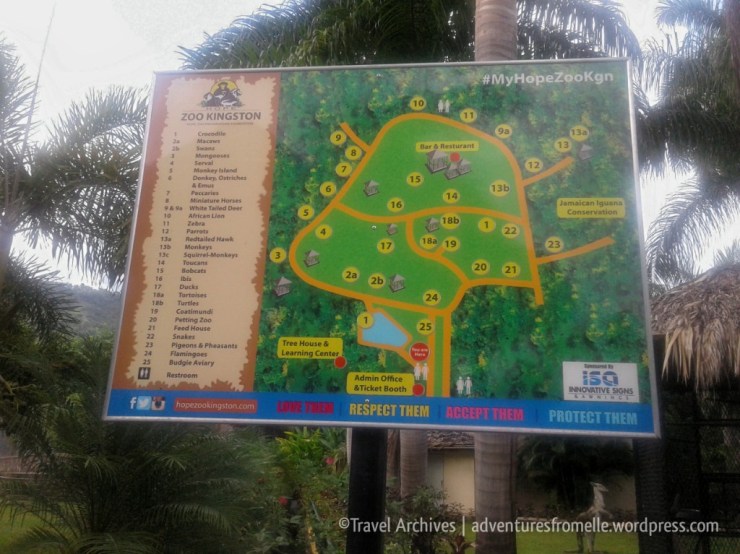 Family Fun at Hope Zoo: What to Expect – Adventures from Elle