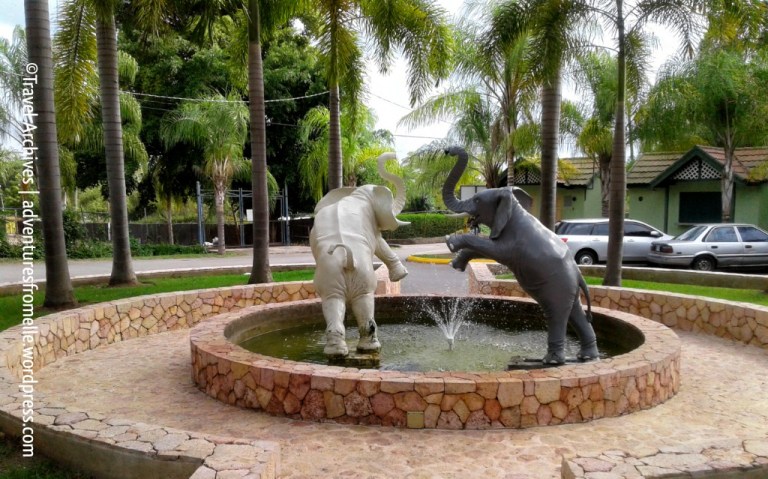 Family Fun at Hope Zoo: What to Expect – Adventures from Elle