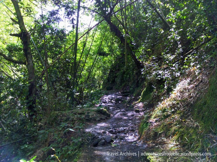 Bath Mineral Spring, Saint Thomas – Adventures from Elle