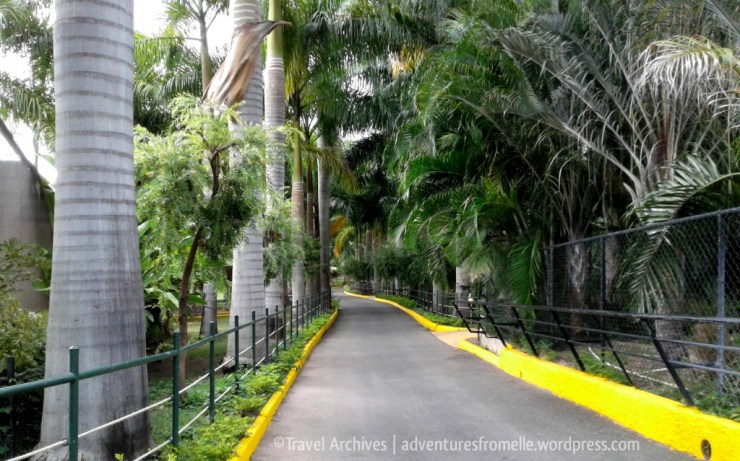 Family Fun at Hope Zoo: What to Expect – Adventures from Elle