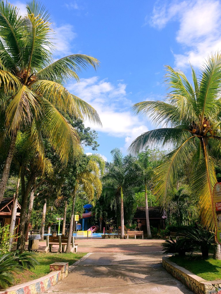 Dunn’s River Falls, Saint Ann – Adventures from Elle