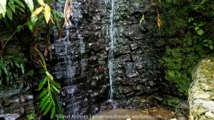 A Complete List of Jamaica’s Waterfalls – Adventures from Elle