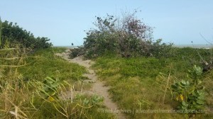 Visiting Gut River: 2025 Admission Costs and Travel Tips – Adventures ...