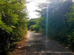 Visiting Gut River: 2025 Admission Costs and Travel Tips – Adventures ...