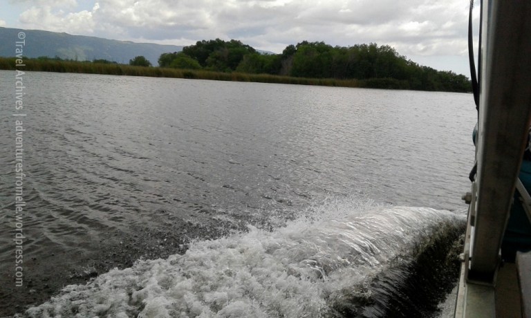 Black River Safari, Saint Elizabeth – Adventures from Elle