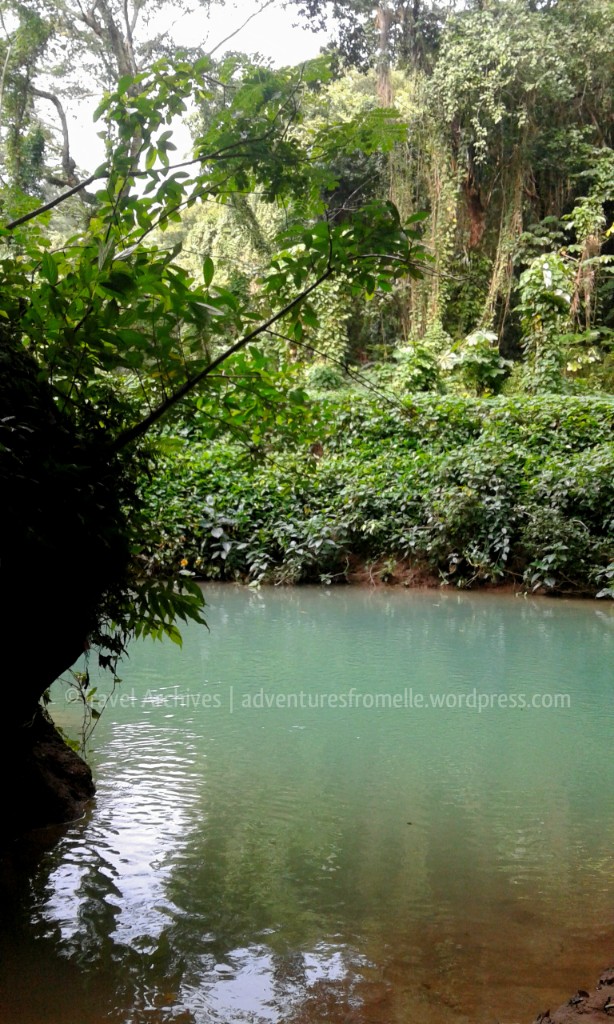 Breadnut Valley Falls, Saint Elizabeth – Adventures from Elle