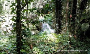 Breadnut Valley Falls, Saint Elizabeth – Adventures from Elle