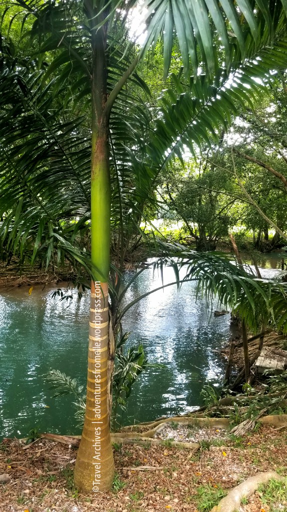 YS Falls, Saint Elizabeth – Adventures from Elle