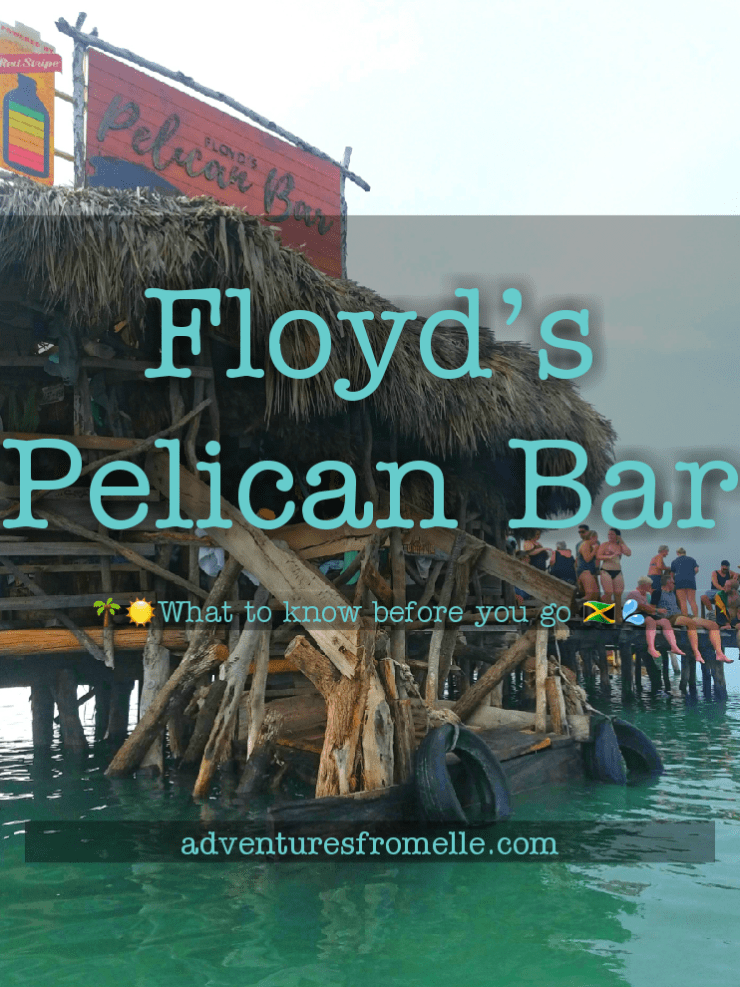 Pelican Bar: The Coolest Bar in the World – Adventures from Elle
