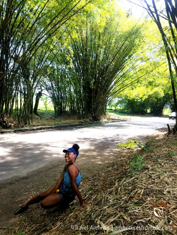 Guide to Bluefields Beach in Westmoreland, Jamaica – Adventures from Elle