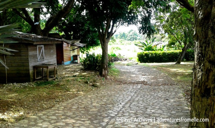 Guide to Bluefields Beach in Westmoreland, Jamaica – Adventures from Elle
