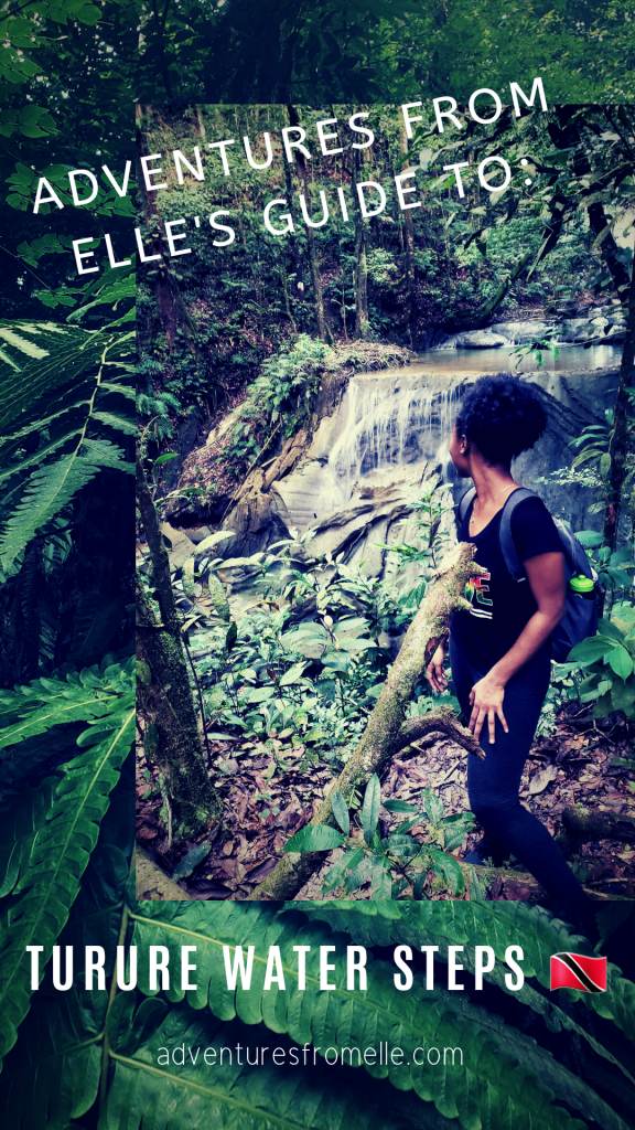 Turure Water Steps: A Trinidad Adventure – Adventures from Elle