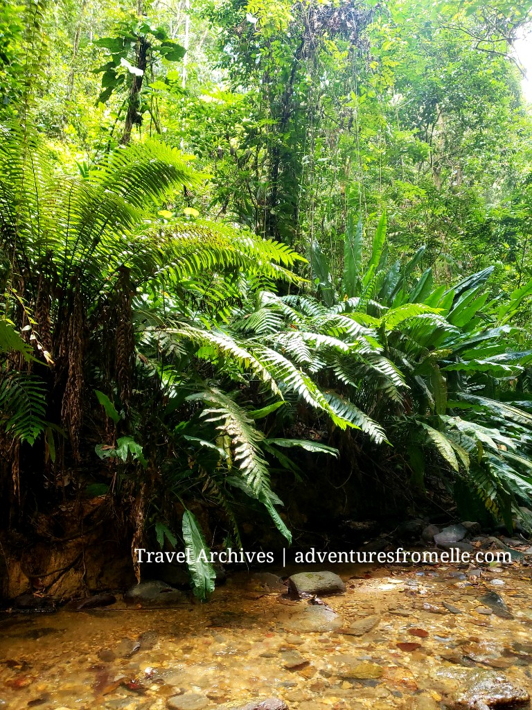 Turure Water Steps: A Trinidad Adventure – Adventures from Elle