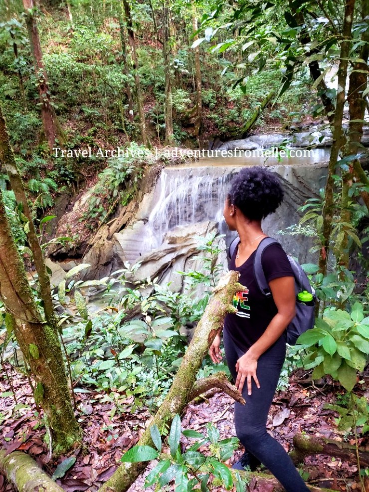Turure Water Steps: A Trinidad Adventure – Adventures from Elle