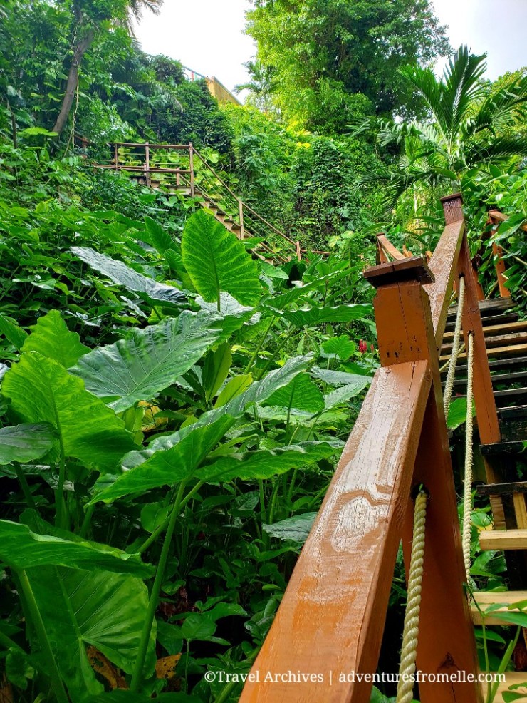 Konoko Falls, Saint Ann – Adventures from Elle