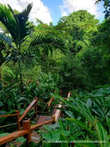 Konoko Falls, Saint Ann – Adventures from Elle