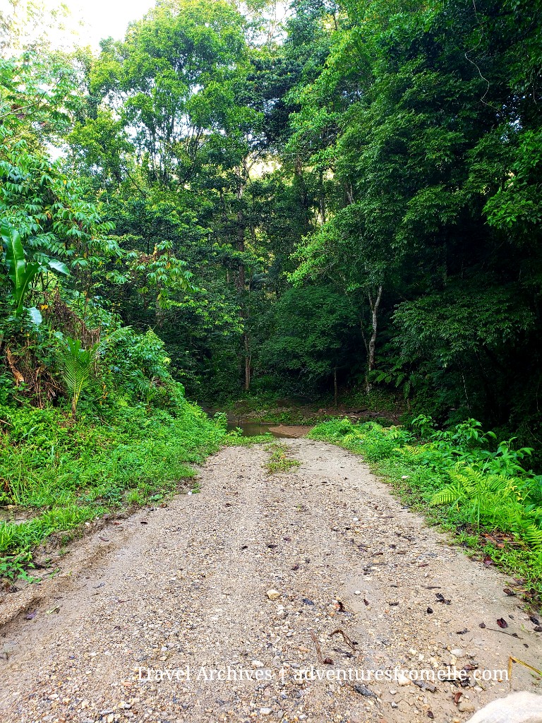 Turure Water Steps: A Trinidad Adventure – Adventures from Elle