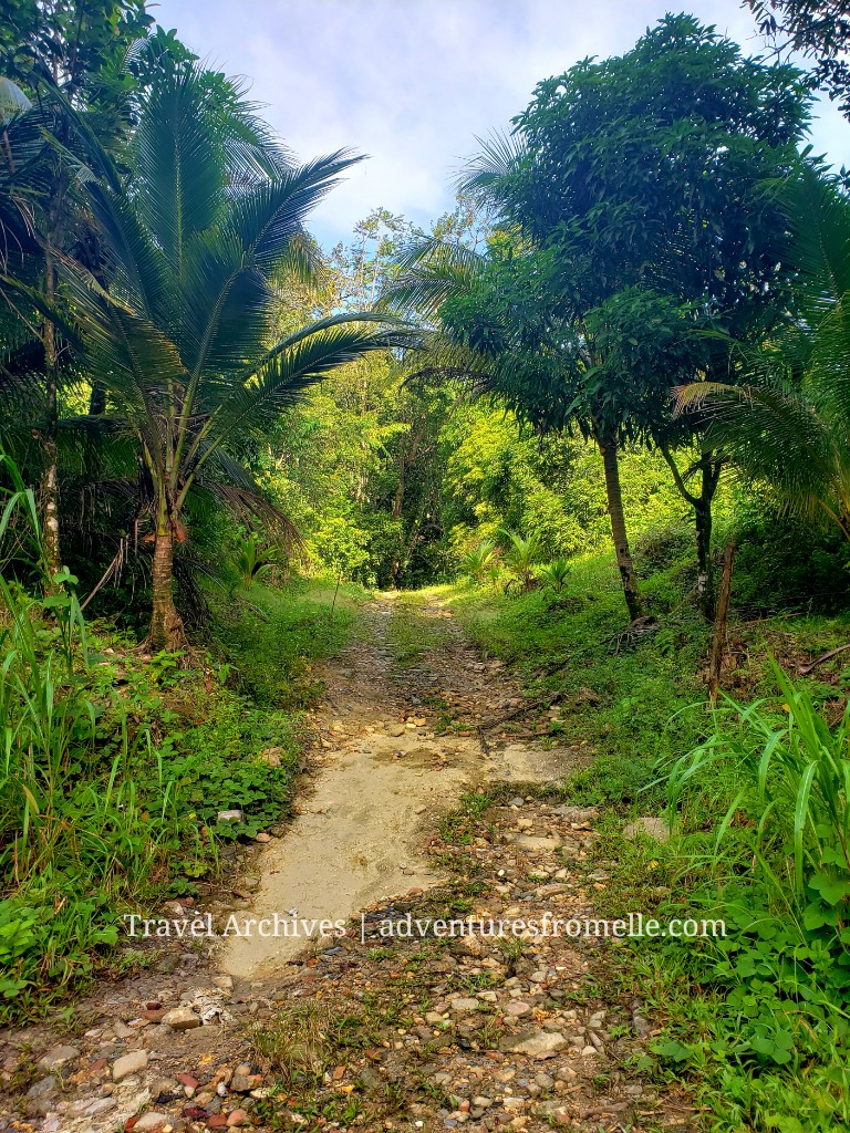 Turure Water Steps: A Trinidad Adventure – Adventures from Elle