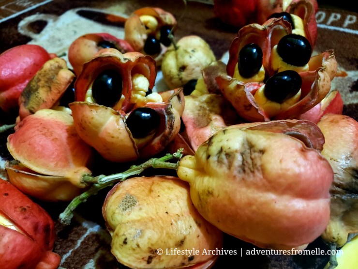 Ackee & Saltfish: Cooking with Jamaica’s Most Controversial Fruit ...