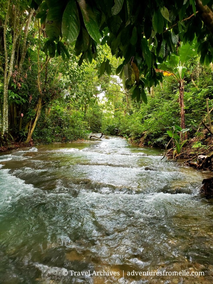 Explore Benta River Falls: A Hidden Jamaican Gem – Adventures from Elle