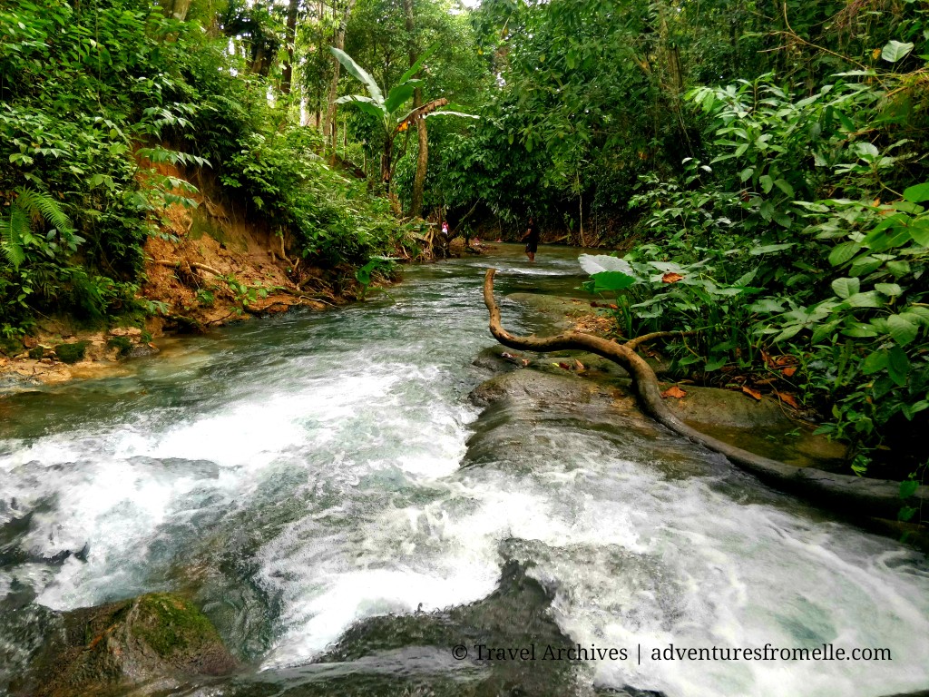 Explore Benta River Falls: A Hidden Jamaican Gem – Adventures from Elle