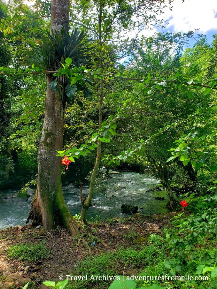 A Relaxing Day at Noisy River Falls, Manchester – Adventures from Elle