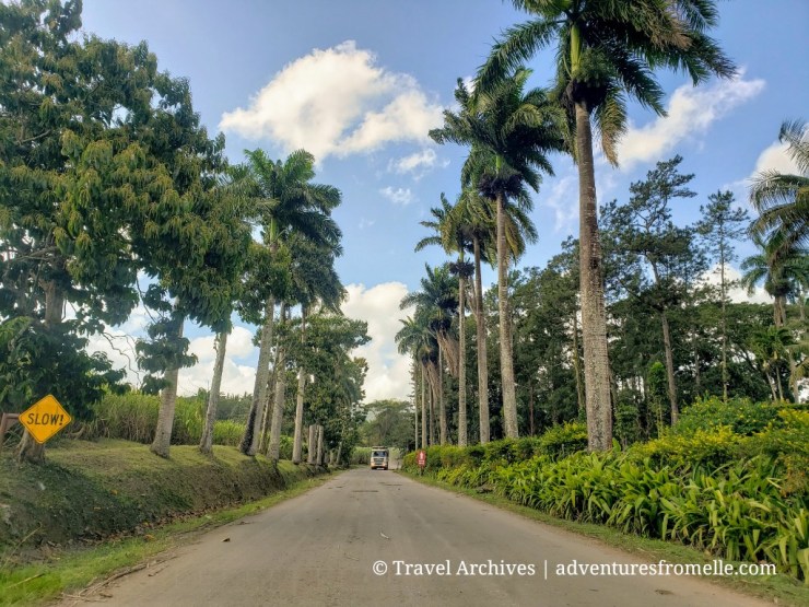 A Memorable Rum Tour at the Worthy Park Estate – Adventures from Elle