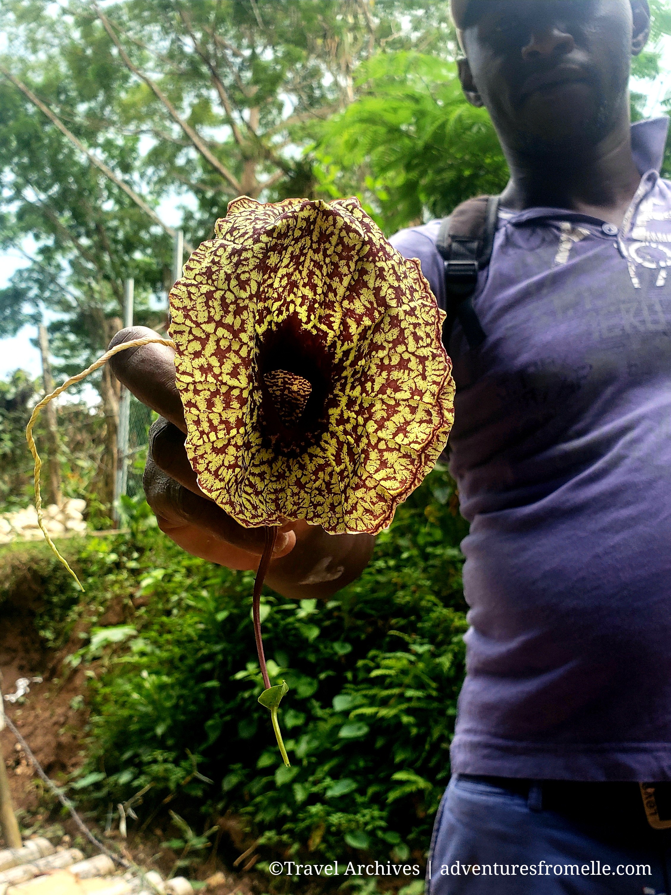 Lethe: Your Guide to Rafting the Great River – Adventures from Elle