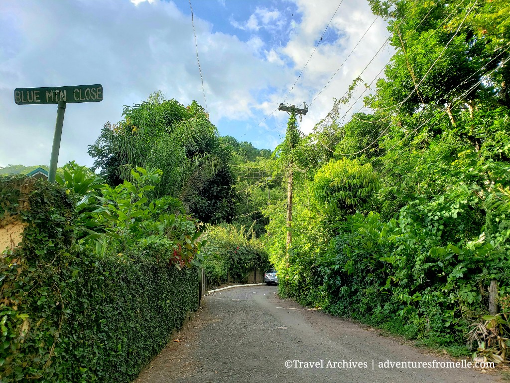 Maamee River: A Hidden Gem in St. Andrew, Jamaica – Adventures from Elle