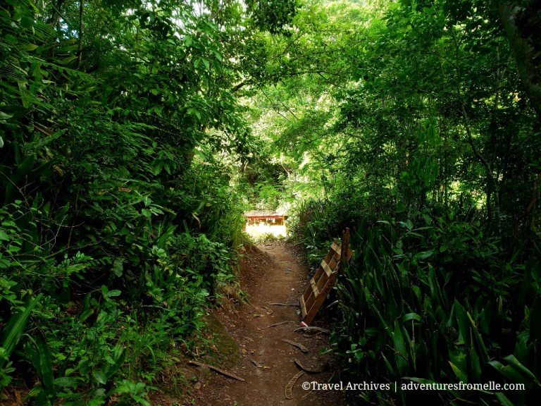 Maamee River: A Hidden Gem in St. Andrew, Jamaica – Adventures from Elle