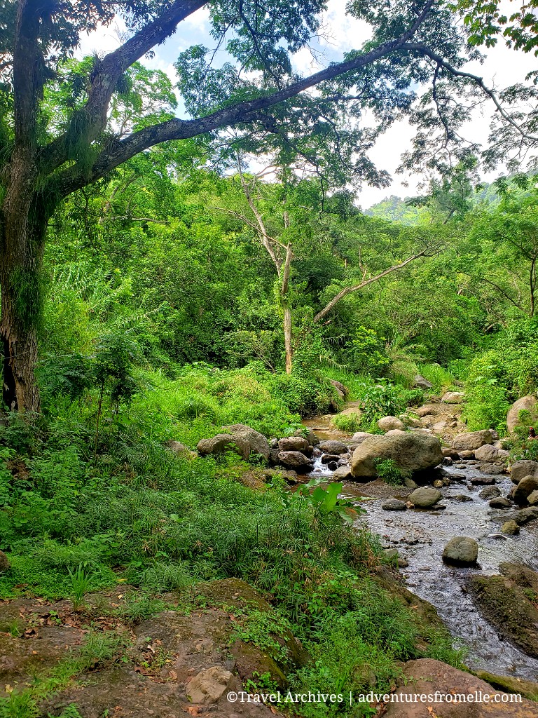 Maamee River: A Hidden Gem in St. Andrew, Jamaica – Adventures from Elle