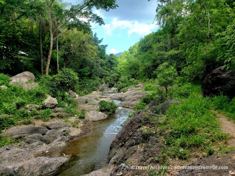 6 Jamaican Rivers You Can Visit Without Leaving Kingston & St. Andrew ...