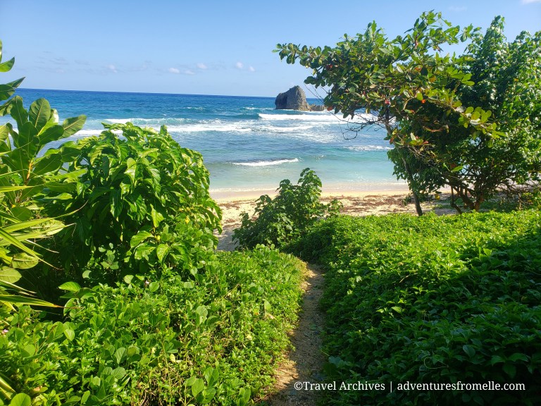 A Guide to the Two Turtle Bays of Portland, Jamaica – Adventures from Elle