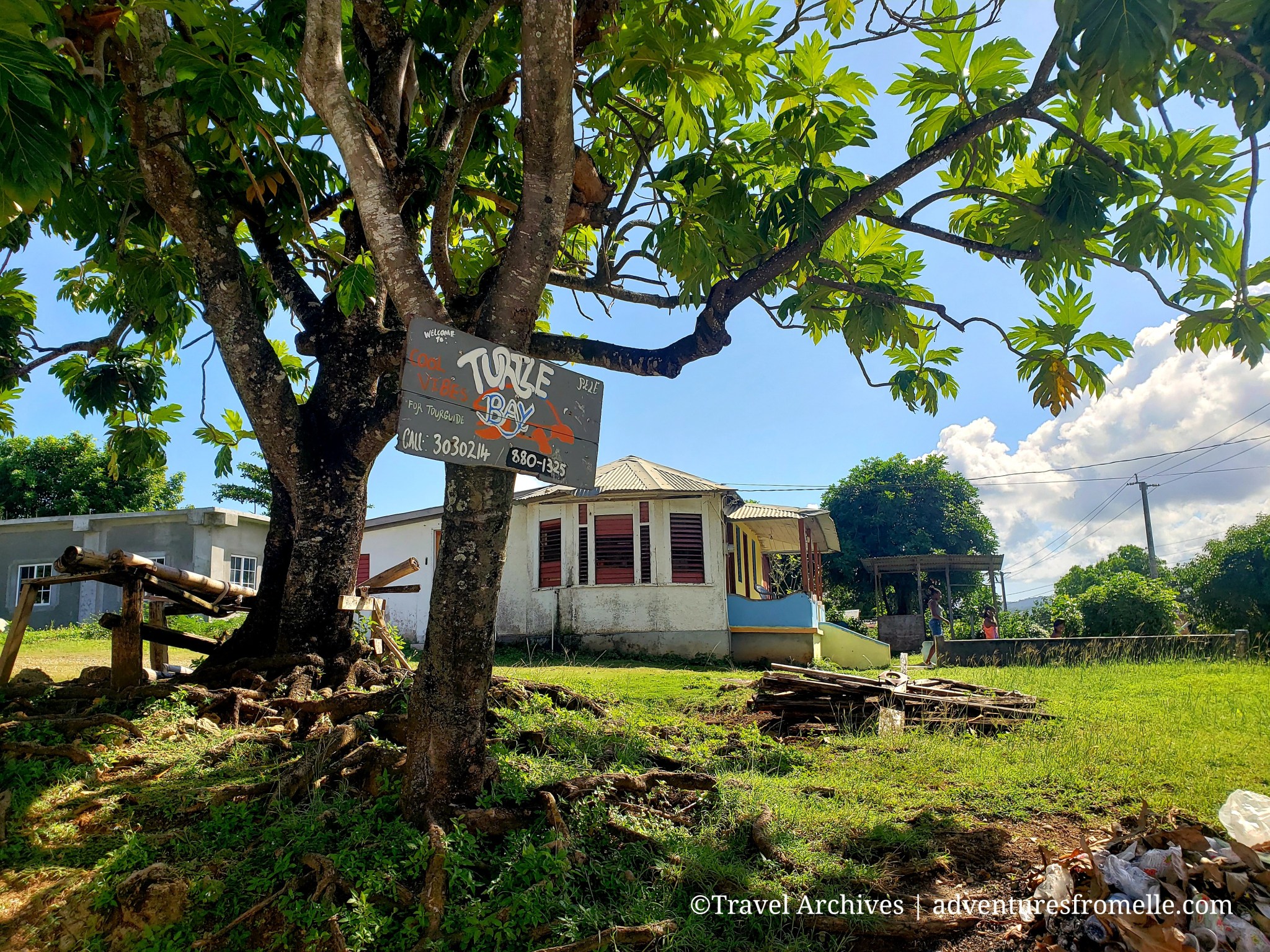 A Guide to the Two Turtle Bays of Portland, Jamaica – Adventures from Elle