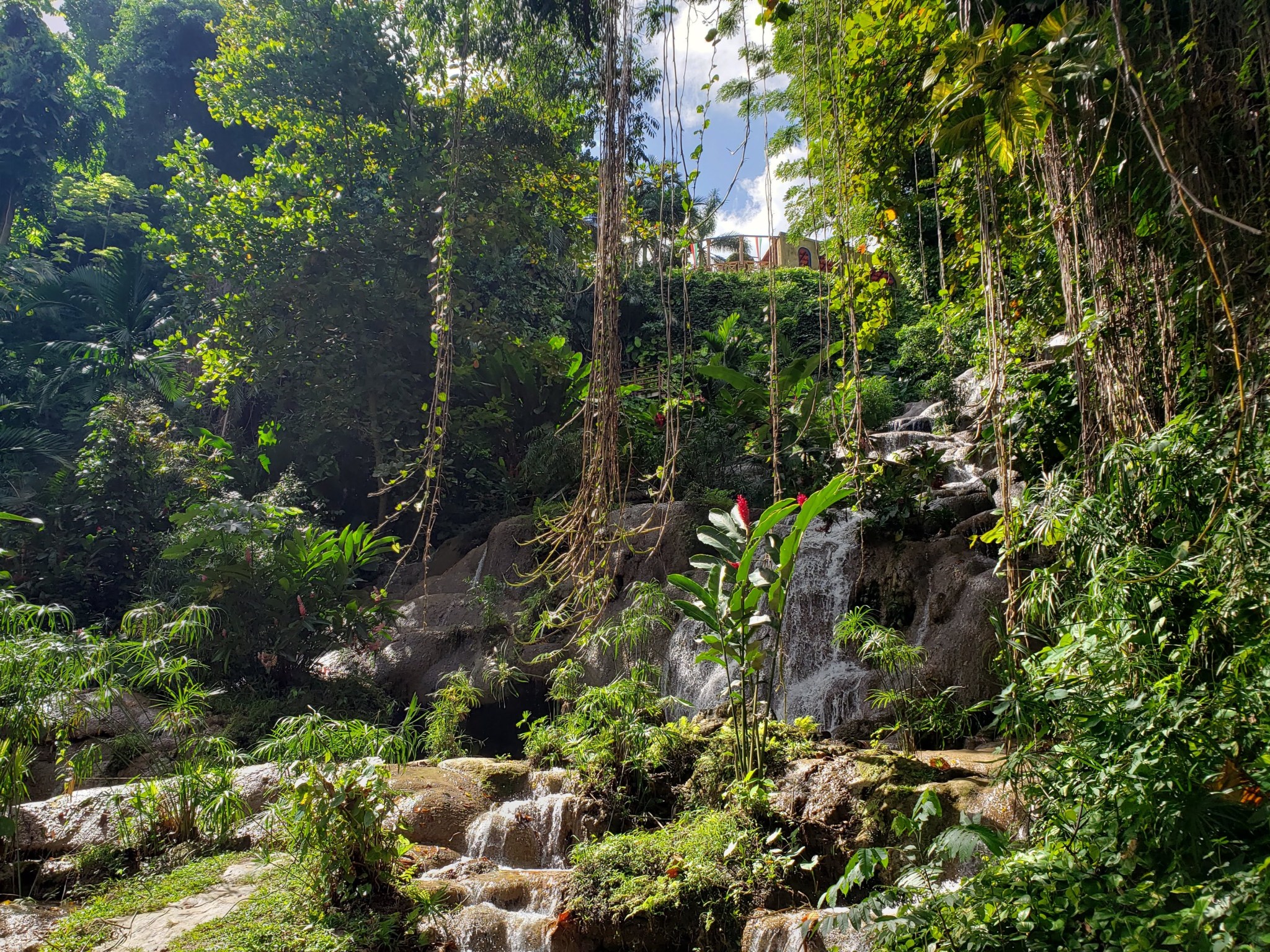 16 Photos Showcasing the Beauty of St. Ann in Jamaica – Adventures from ...