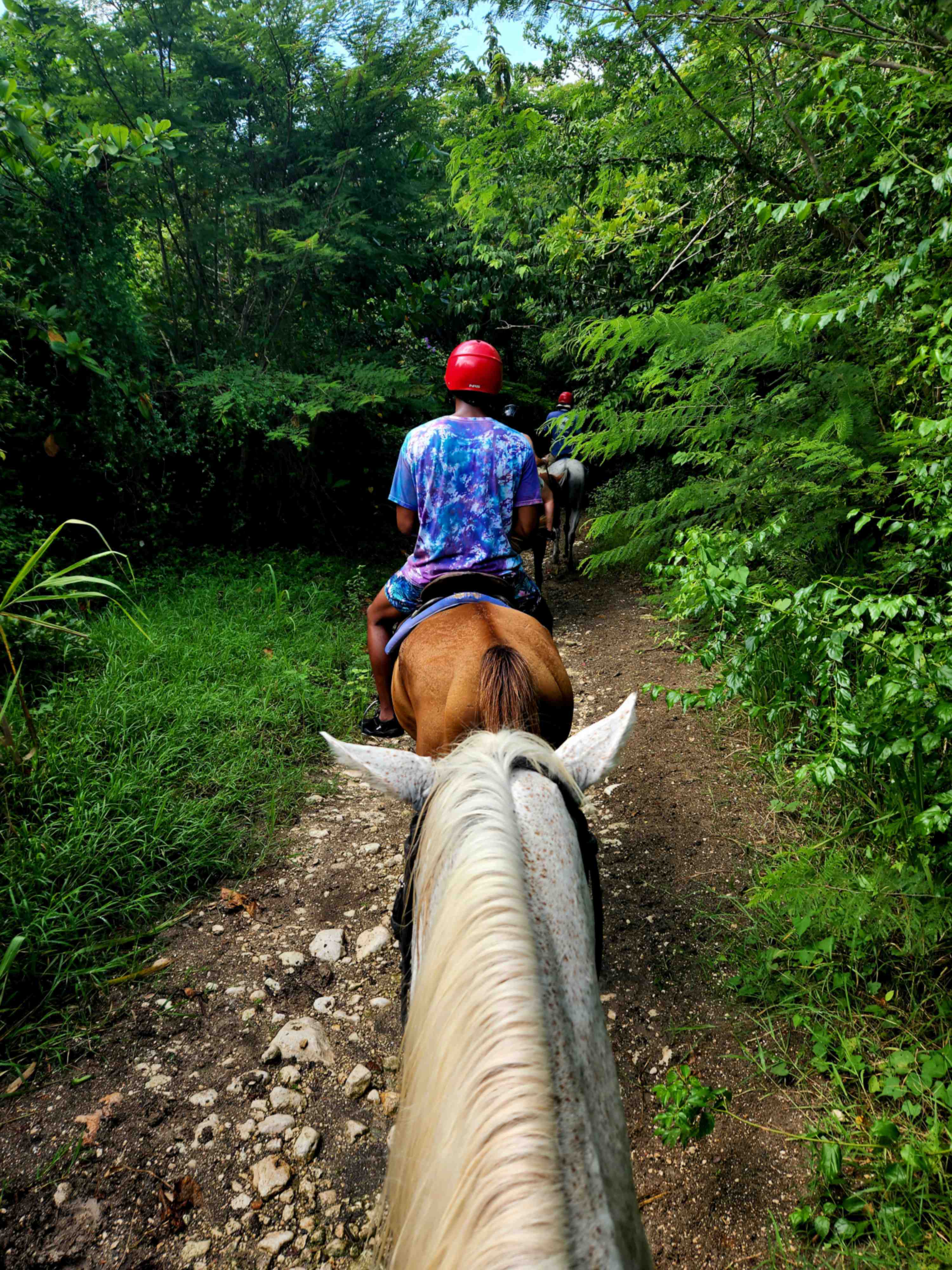 It’s Time to Play at Chukka Cove in Ocho Rios – Adventures from Elle