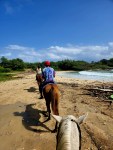 It’s Time to Play at Chukka Cove in Ocho Rios – Adventures from Elle