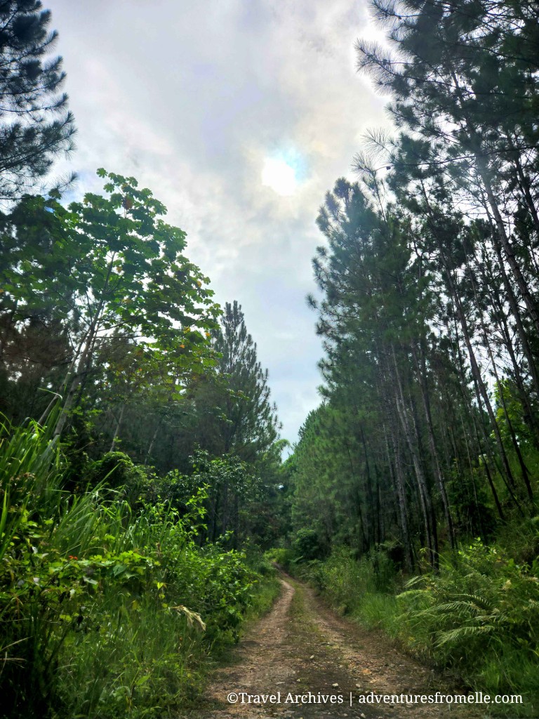 Bull Head Mountain, Clarendon – Adventures from Elle