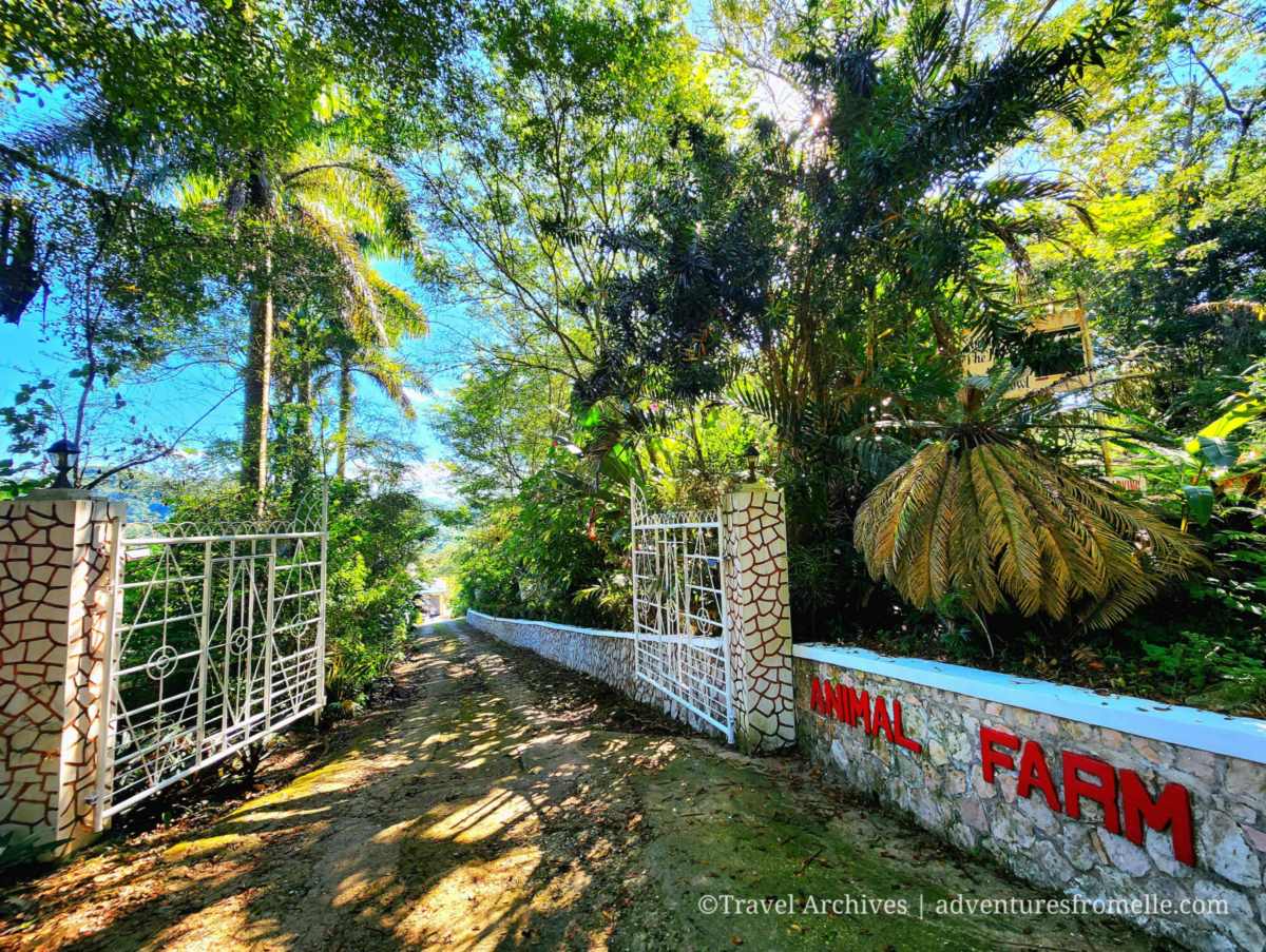 Experience Life Off the Grid at Animal Farm – Adventures from Elle