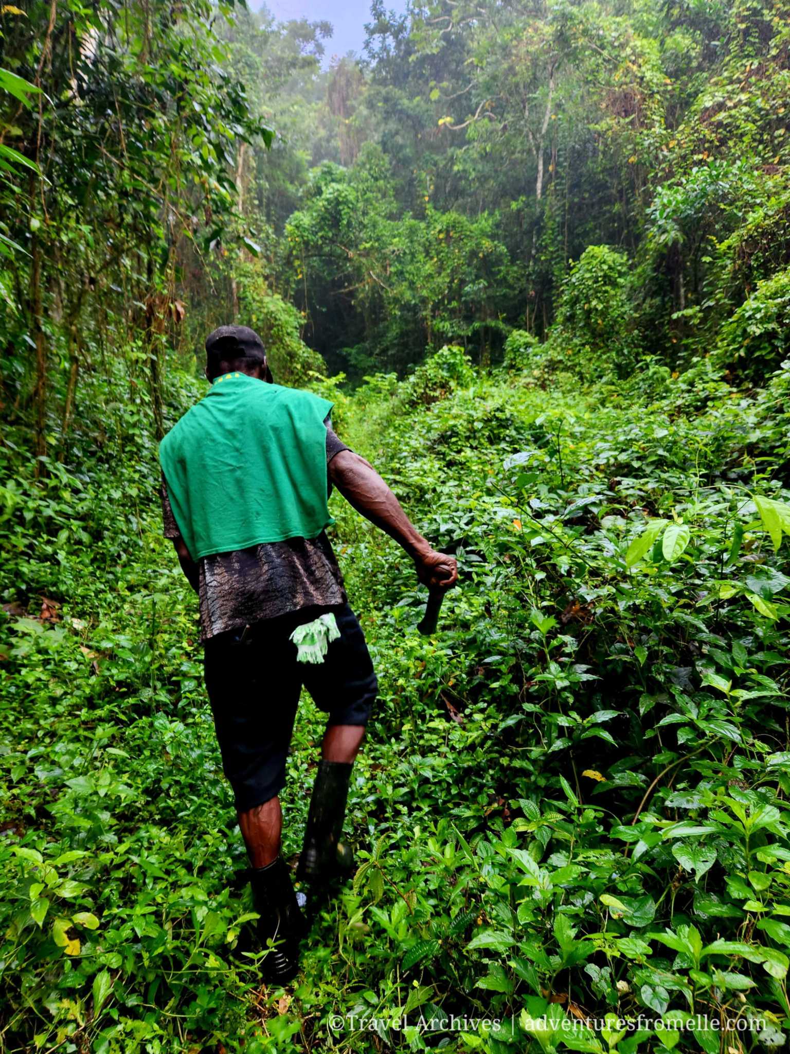 Experience Life Off the Grid at Animal Farm – Adventures from Elle