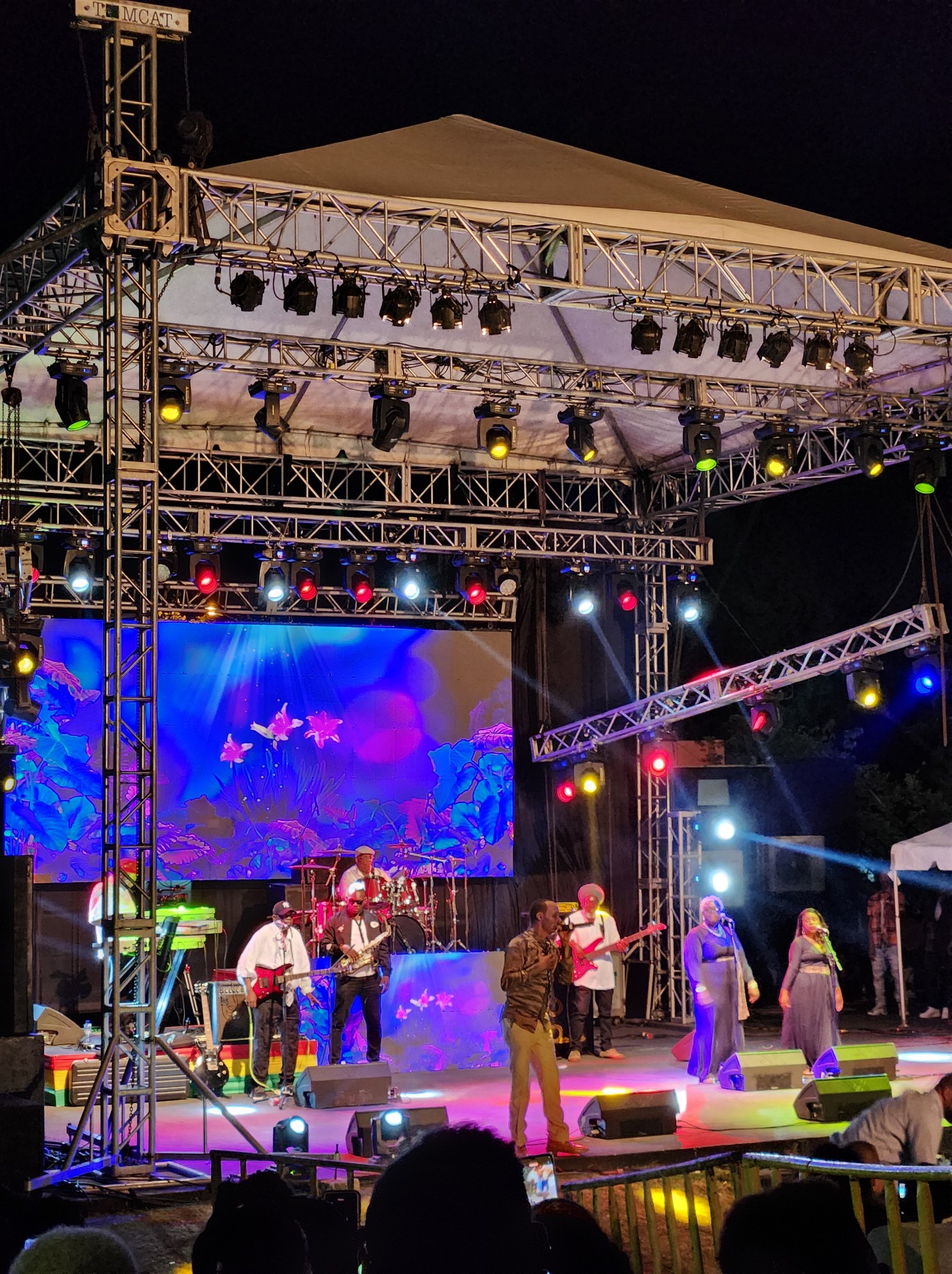 Reggae Month in Jamaica – Adventures from Elle