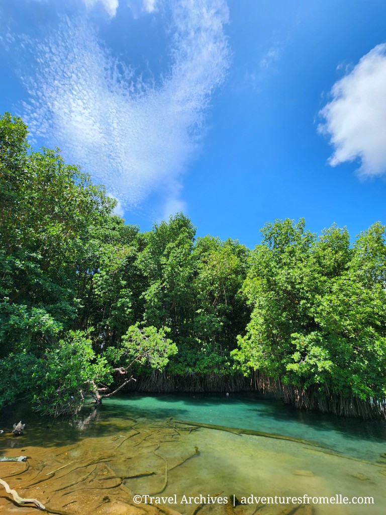 Salt River, Clarendon – Adventures from Elle