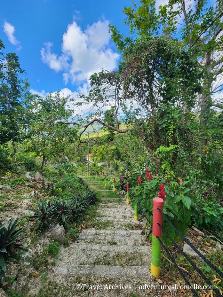 Bluefields Organic Farm Tour, Westmoreland – Adventures from Elle