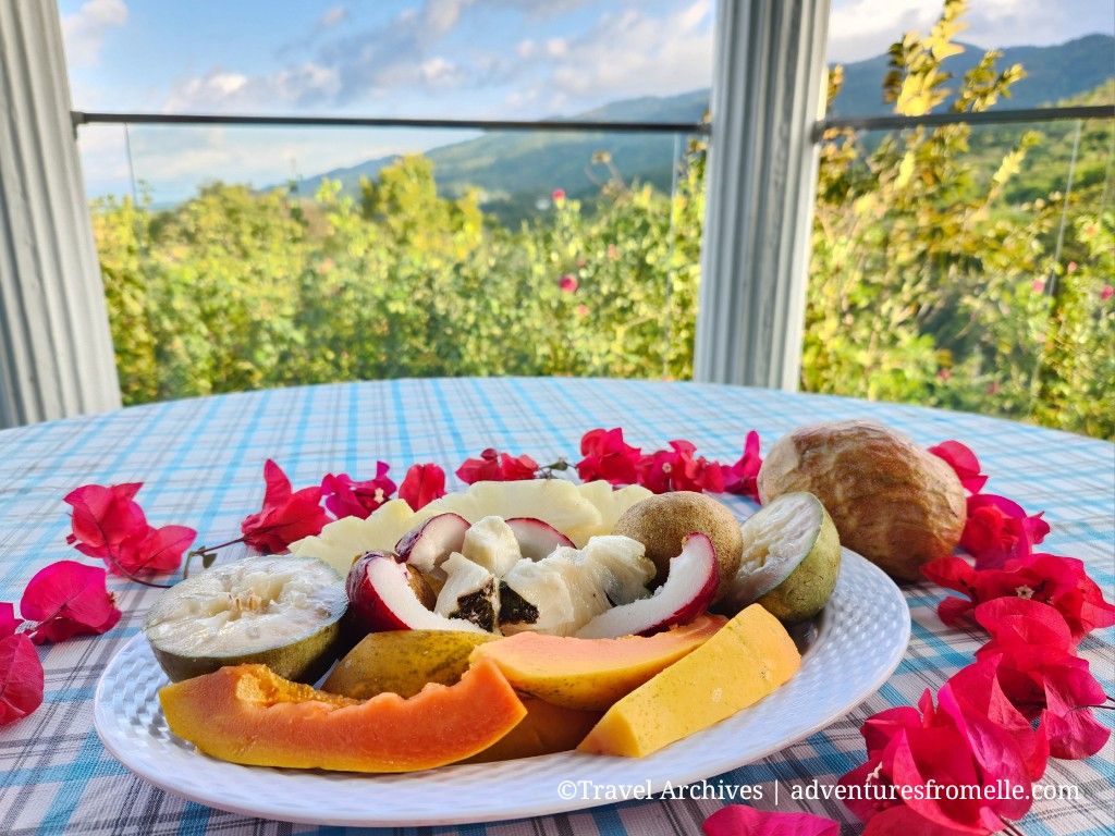 Bluefields Organic Farm Tour, Westmoreland – Adventures from Elle
