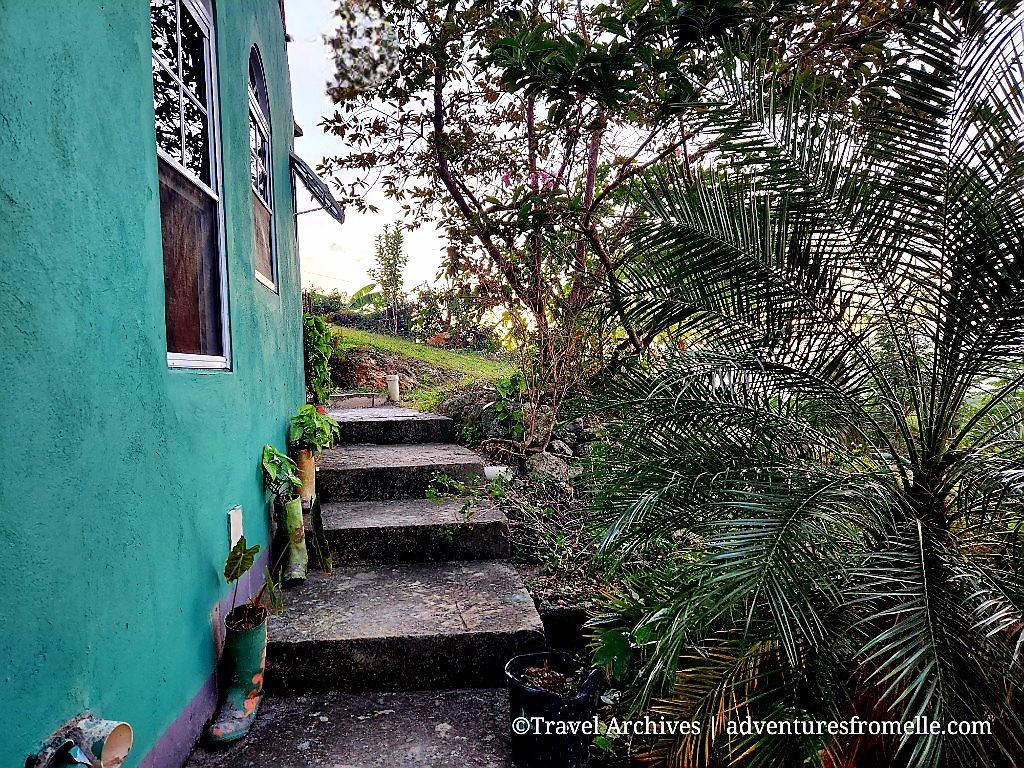 Bluefields Organic Farm: Connect to Nature with a Homestay in Jamaica ...